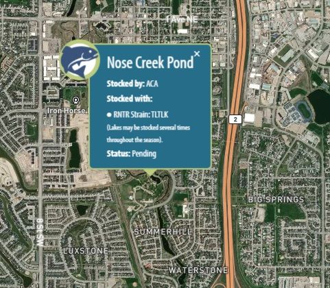 Will Nose Creek Pond be stocked with trout for May long? Here's what we ...