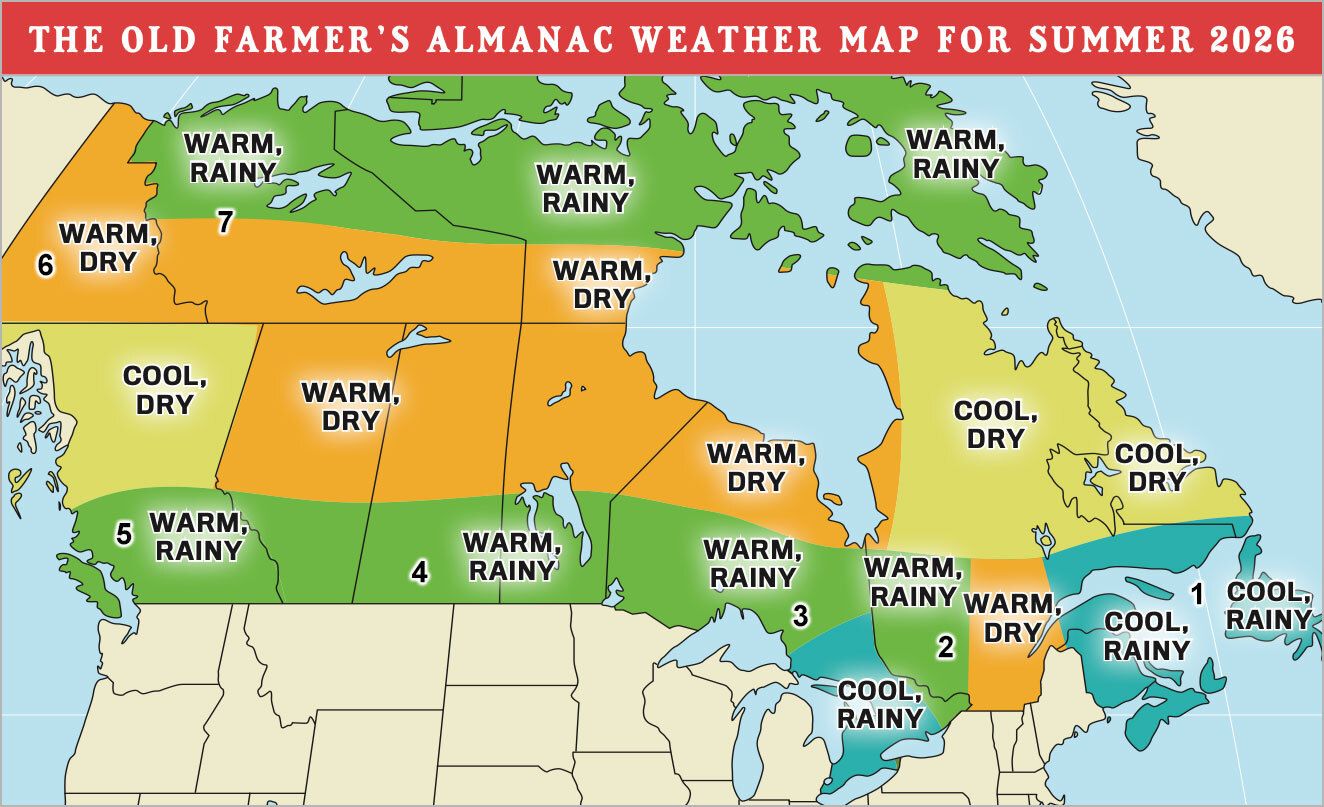Weather Network reveals what Alberta can expect this summer ...