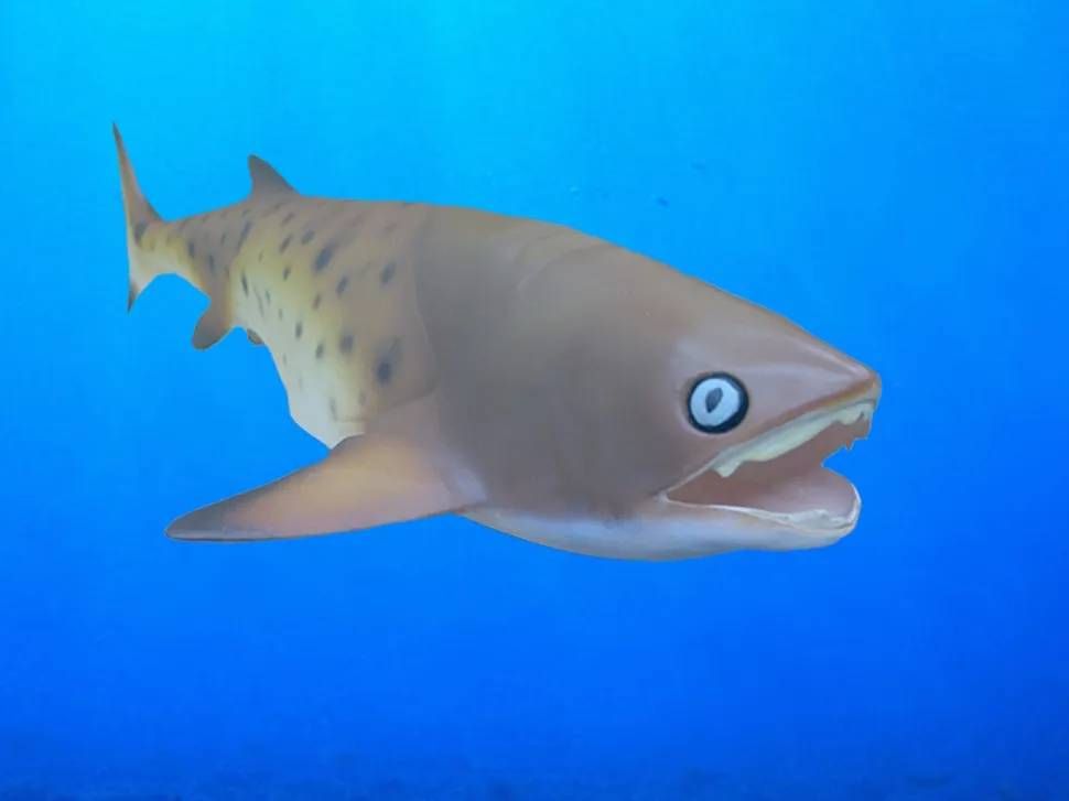 Scientists uncover ancient, armored fish in Manitoba - SteinbachOnline ...