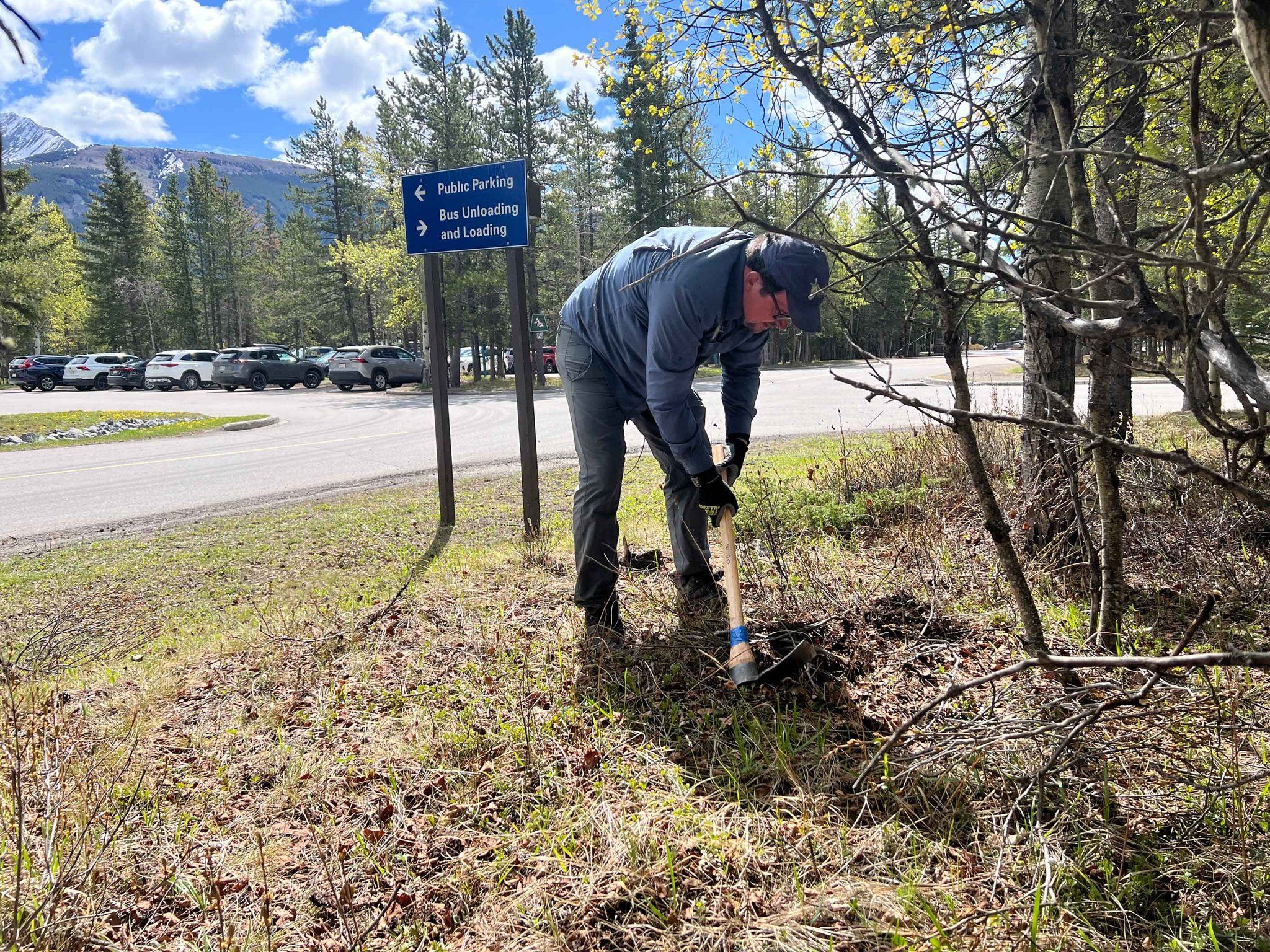 Students help bear-proof Kananaskis Village ahead of G7 Summit ...
