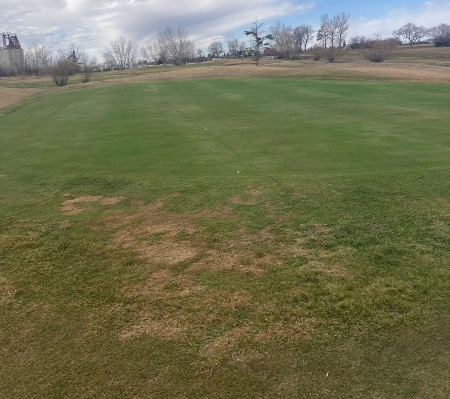 Volunteers help kickstart golf season at Kindersley Regional Park ...
