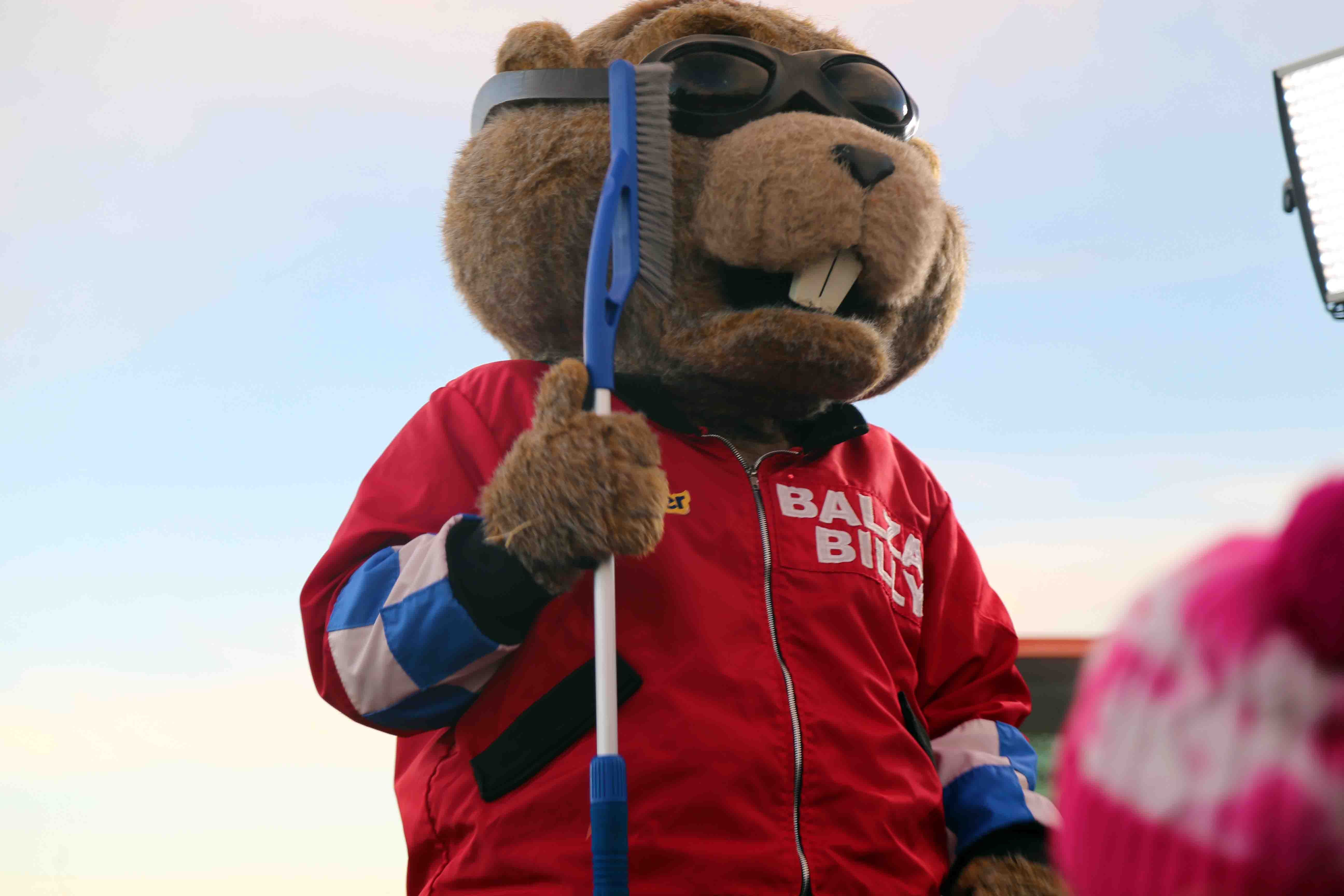 Watch: Chill or Thrill? Balzac Billy's prediction on Groundhog Day ...