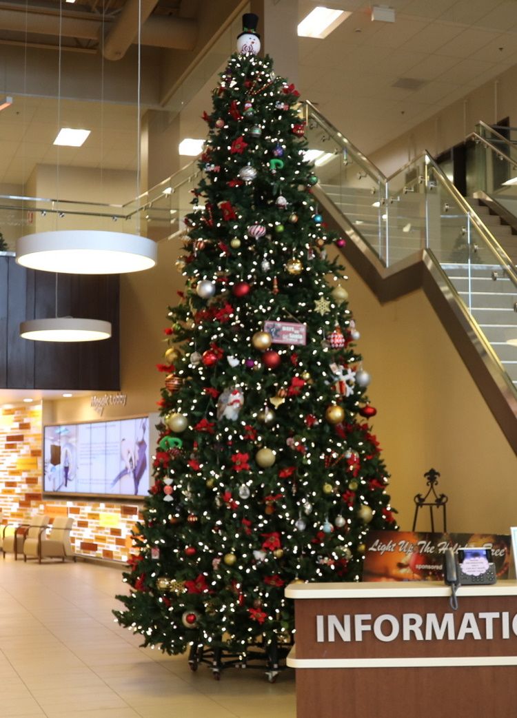 Giant 'Rockefeller' tree brings bright smiles to hospital patients ...