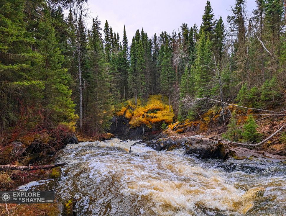 Explorer treks through Manitoba forests to find an undocumented ...