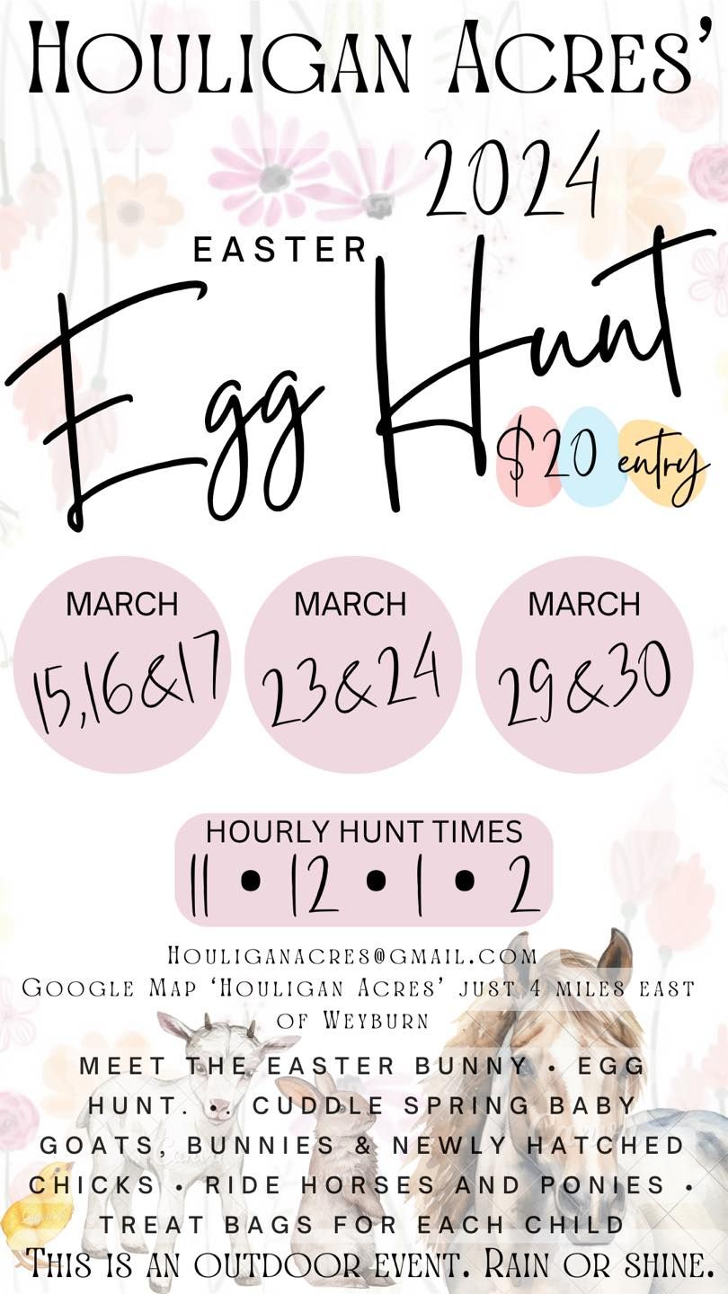 Hoppy times ahead: Join the egg-stravaganza at Houligan Acres' Easter ...
