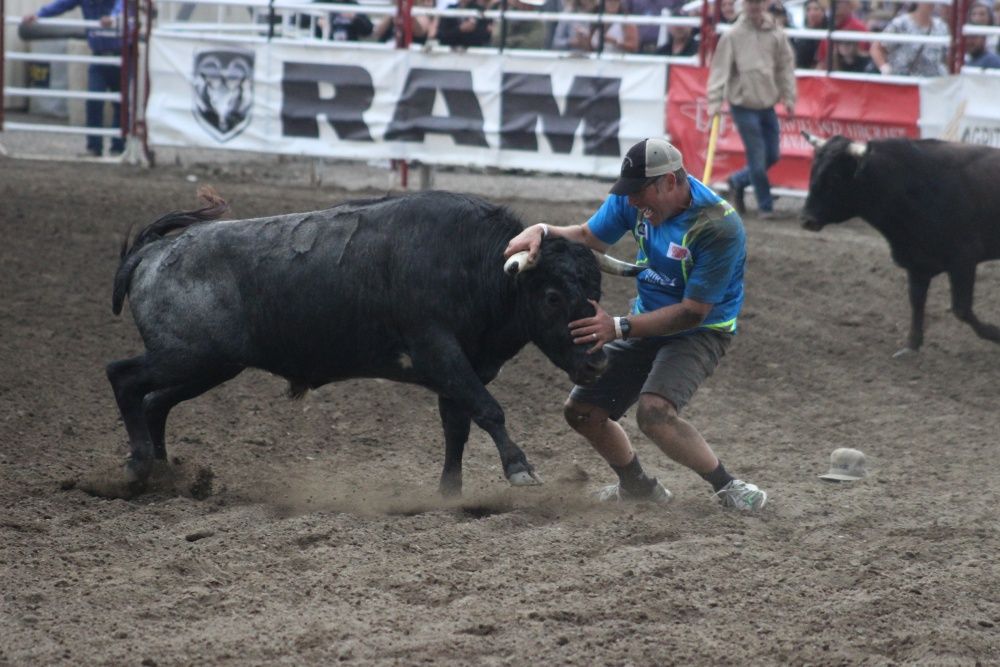 Running with the Bulls fills the stands at the Strathmore Stampede ...