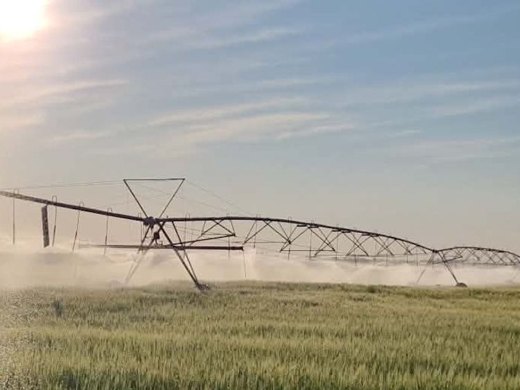 Copper wire thefts hit Portage-area irrigation systems - PortageOnline ...
