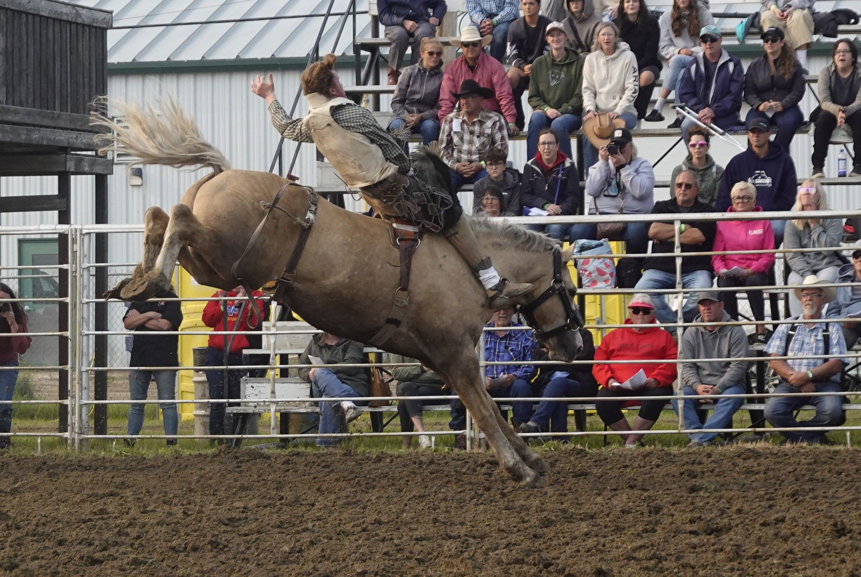 Local competition kicks up at Kyle Community Rodeo - WestCentralOnline ...