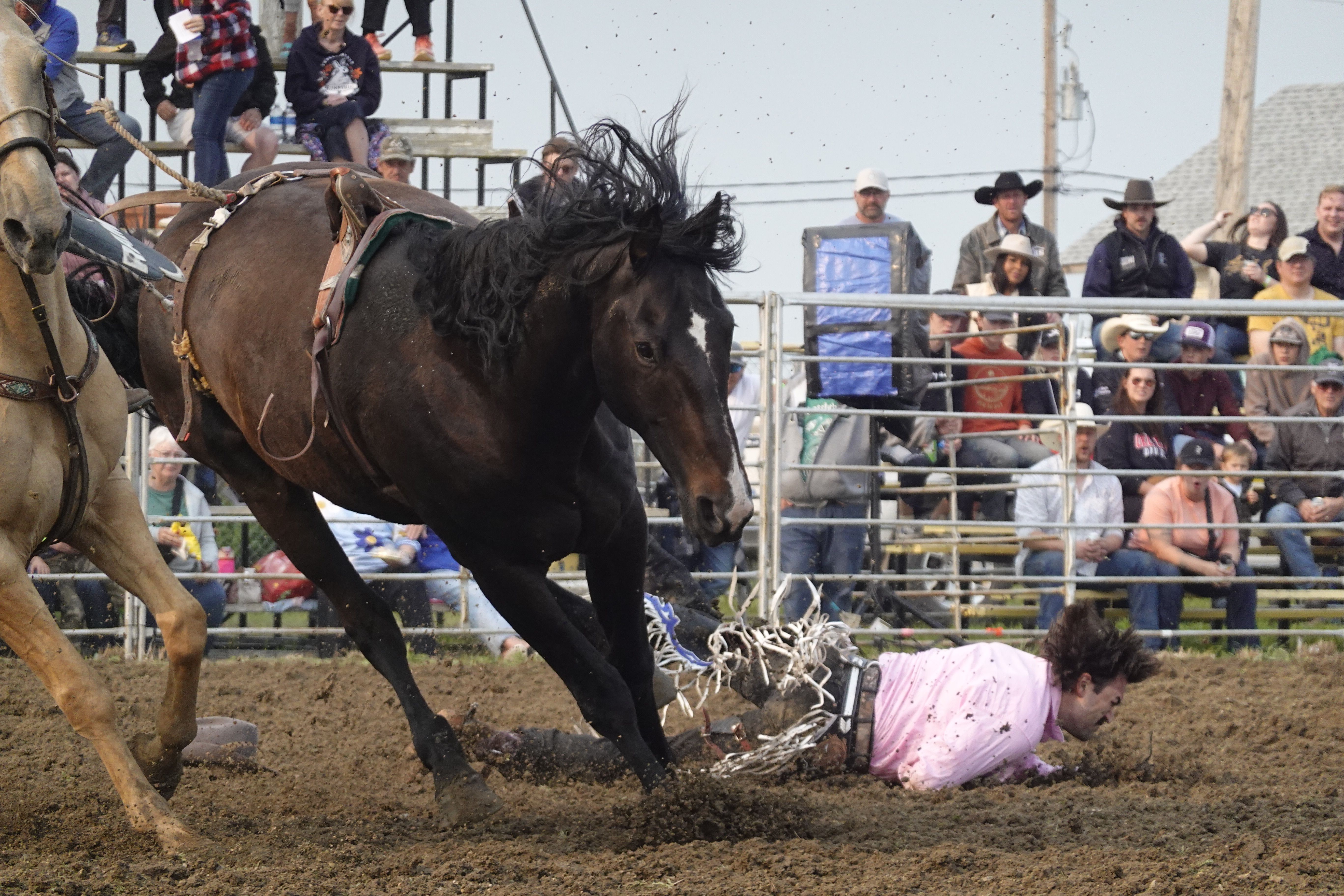 Local competition kicks up at Kyle Community Rodeo - SwiftCurrentOnline ...