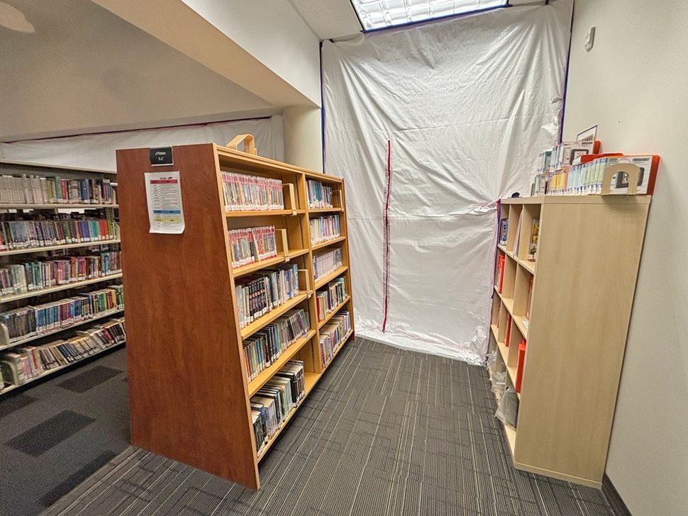 Jake Epp Library encourages patrons to 'stock up' ahead of carpet ...