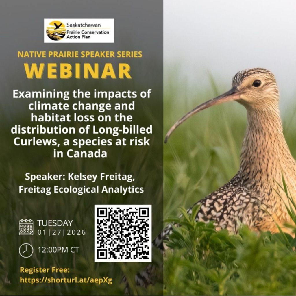 Webinar to explore climate change & curlews - SwiftCurrentOnline.com ...