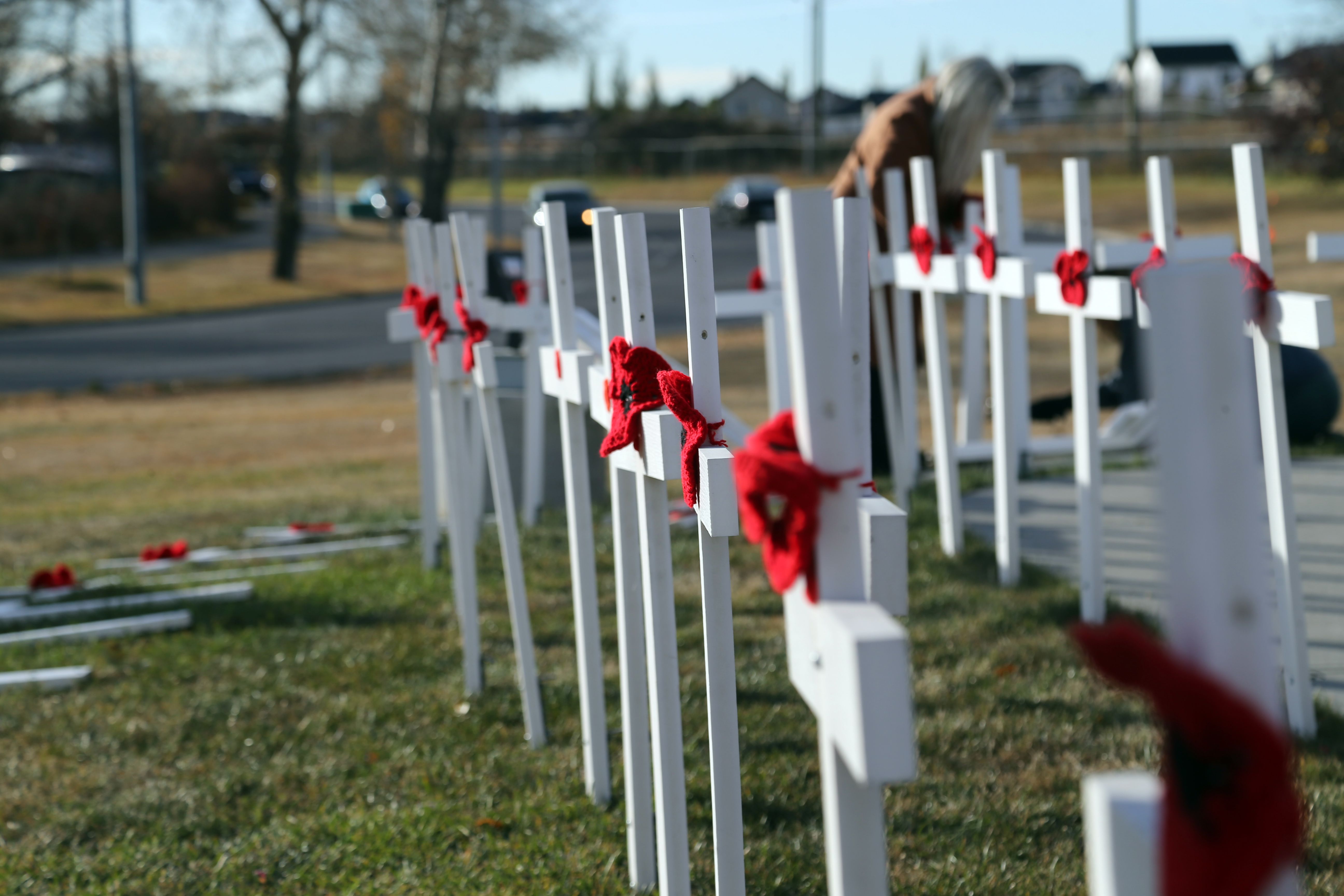 Crosses rise beside Airdrie’s LAV monument to honour fallen from ...