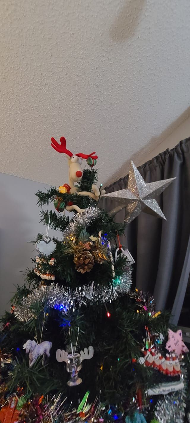 GALLERY: Airdrie being extra creative with their Christmas tree toppers ...