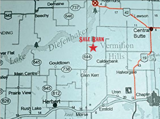 Find Quality Throughout The 2024 Horned Hereford Sale at Log Valley ...