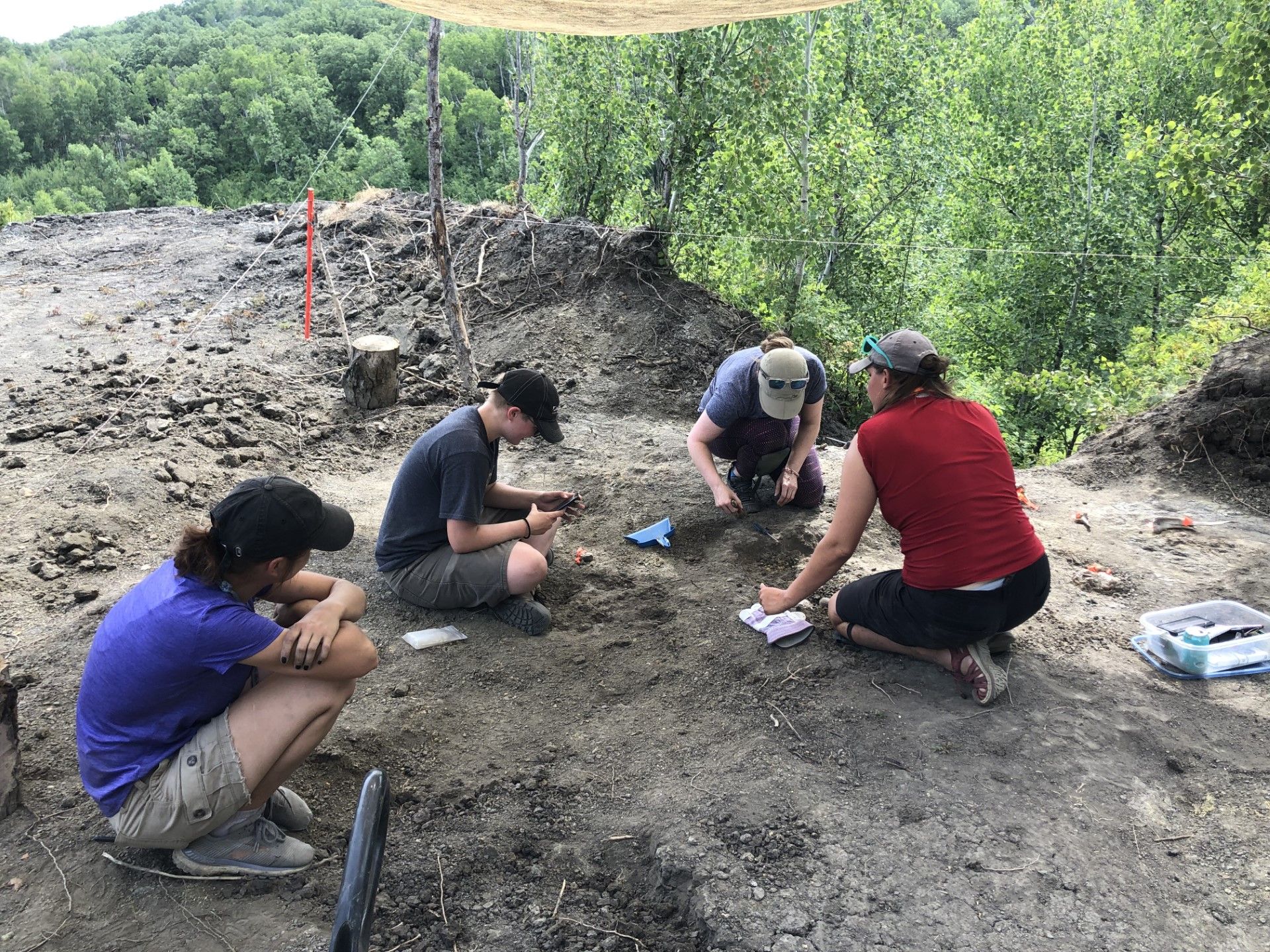 New Mosasaur found at Canadian Fossil Discovery Centre dig site ...