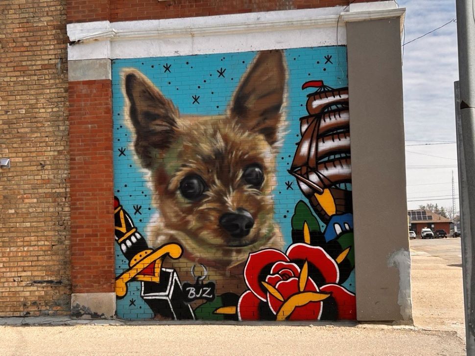 Artist brings colour and character to Estevan walls - DiscoverEstevan ...