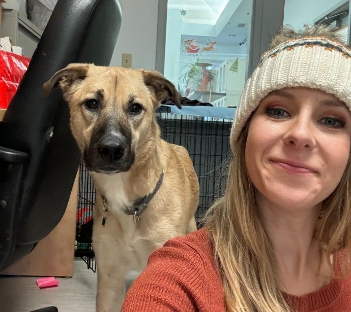 Adorable Adoptables: Meet Maddie the Dog! - CochraneNow: Cochrane ...