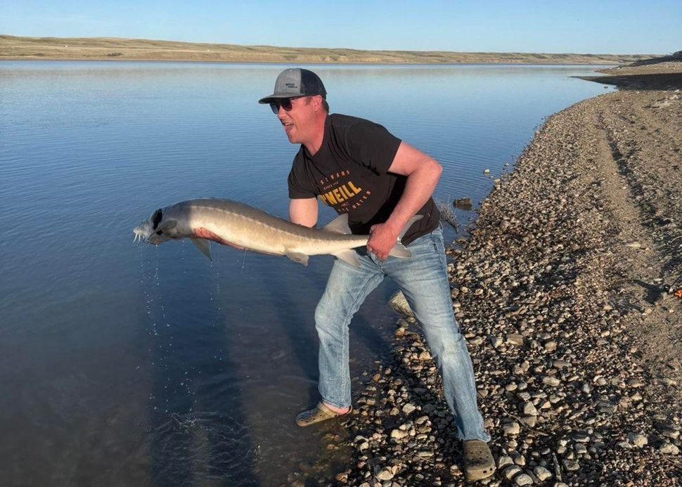 “Like pulling a boat in”: Sturgeon run drawing local anglers in for big ...