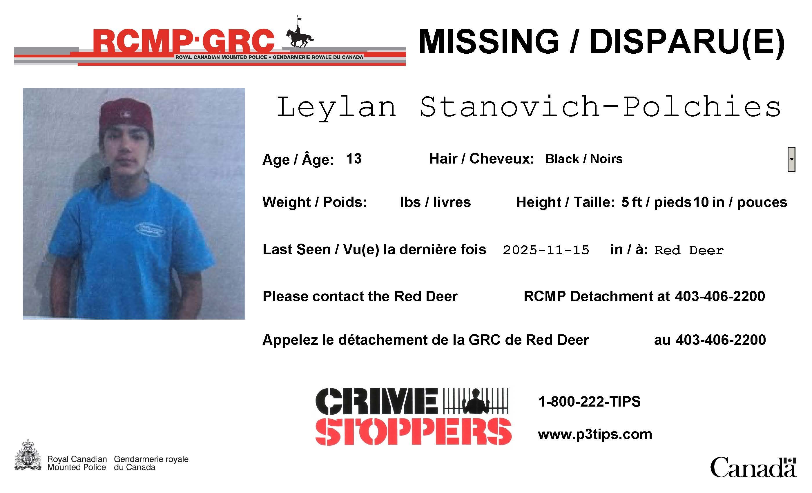 Concern for safety: Red Deer RCMP search for two missing boys ...