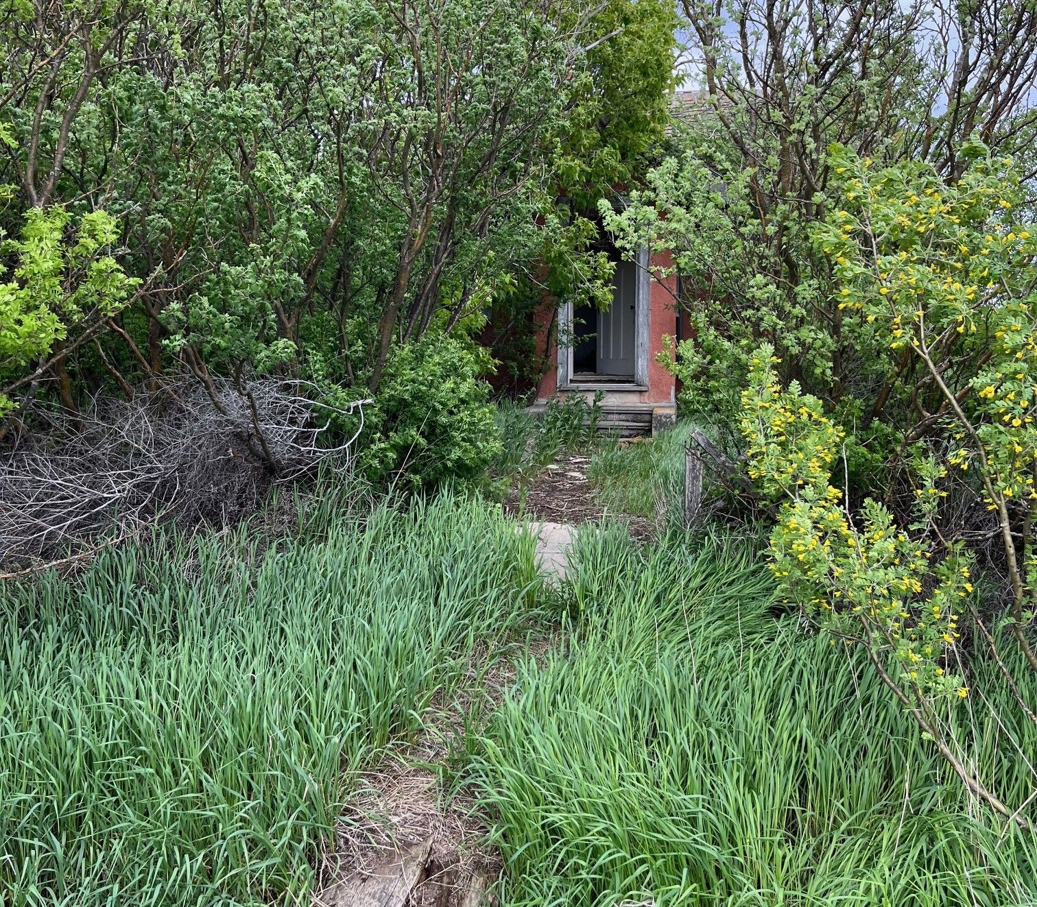 Sask. Government plans to tackle derelict buildings in the southwest ...