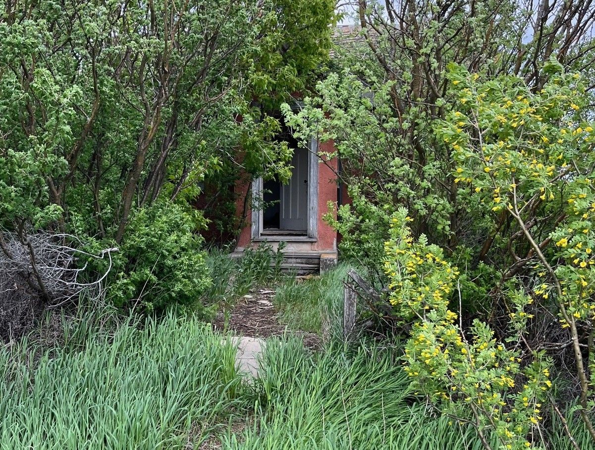 Southwest History: Neidpath, a ghost town reclaimed by the prairies ...