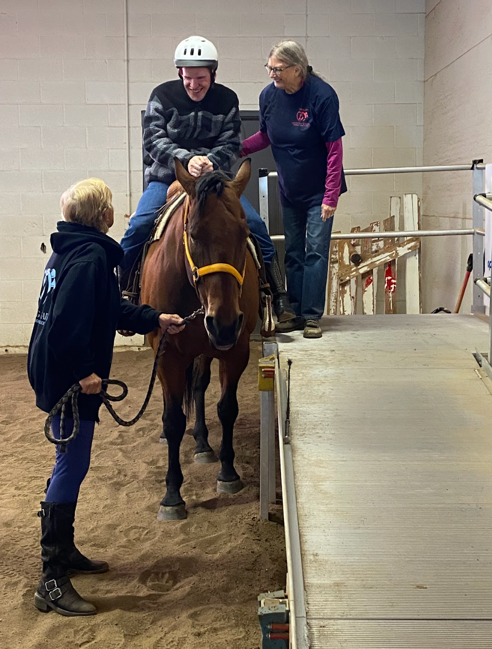 Opening Gaits seek more volunteers for therapeutic riding ...