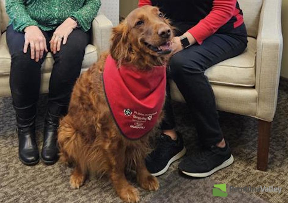 When grief overwhelms, Piper the therapy dog brings hope ...