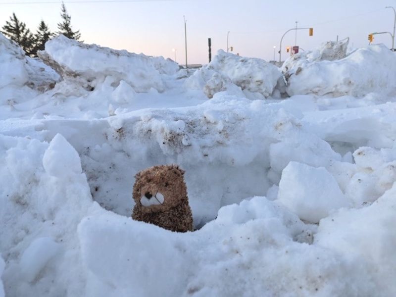 Manitoba's groundhog calls for six more weeks of winter - BUT there's ...
