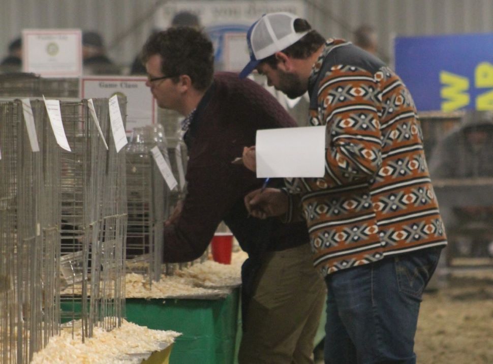 Sask aviculturists to gather in Moose Jaw for upcoming Prairie Poultry ...