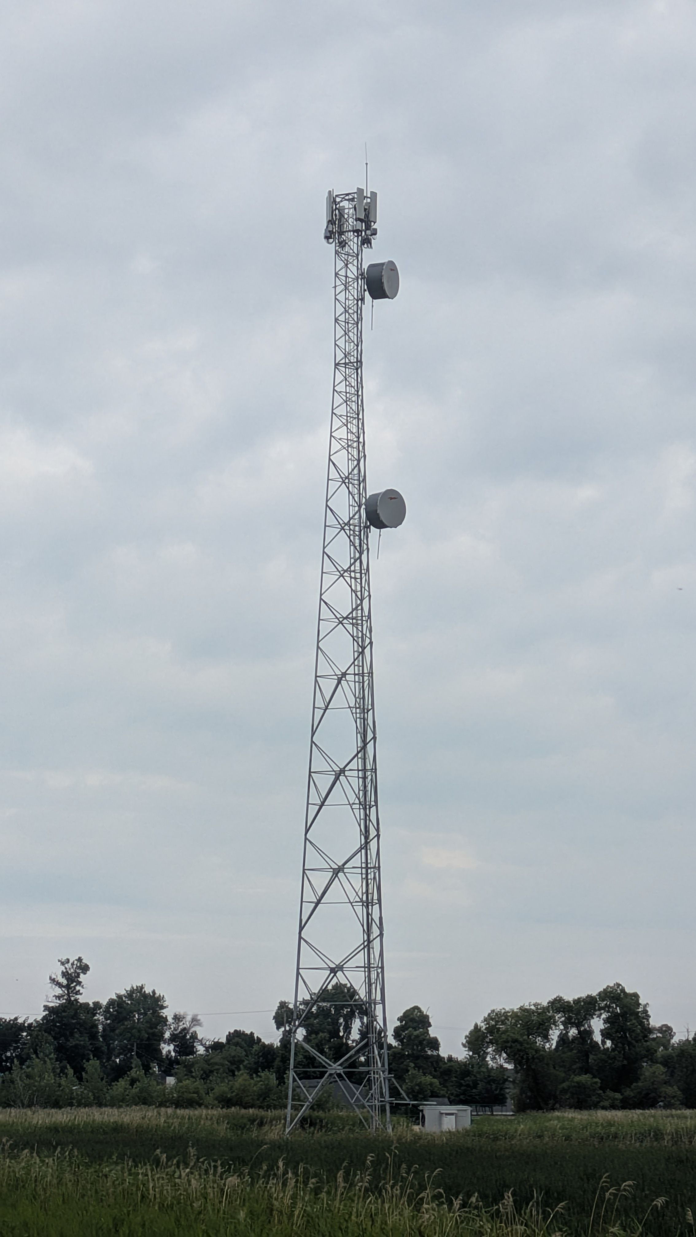 New cell tower brings better coverage and unexpected benefits to Delta ...