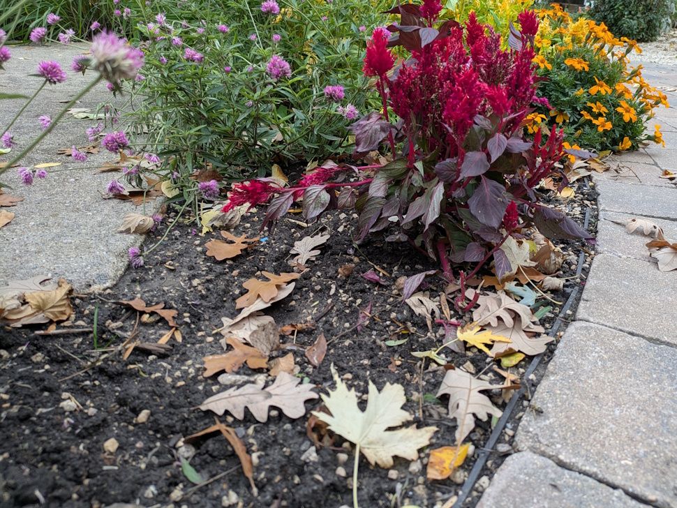 From pruning to planting bulbs, Portage residents ready their gardens ...