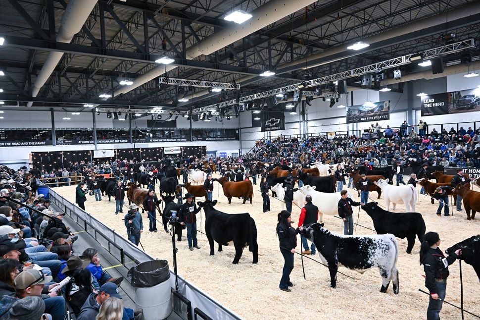 Canadian Western Agribition livestock entries open until October 1 ...
