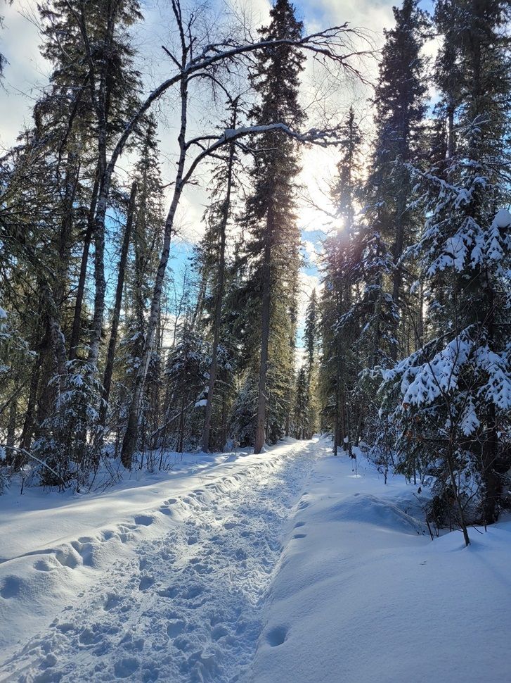 Sask Trails Association announces winter photo contest winners ...