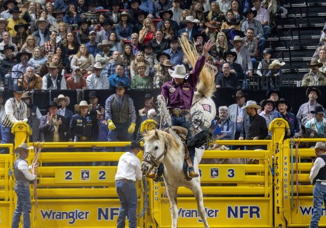 Central Alberta rodeo athletes shine at National Finals Rodeo in Las ...