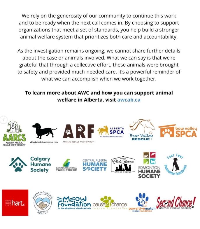 Central Alberta Humane Society responds after 300+ animals rescued in ...