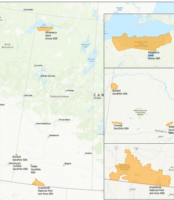 Five Saskatchewan biodiversity hotspots receive national recognition ...