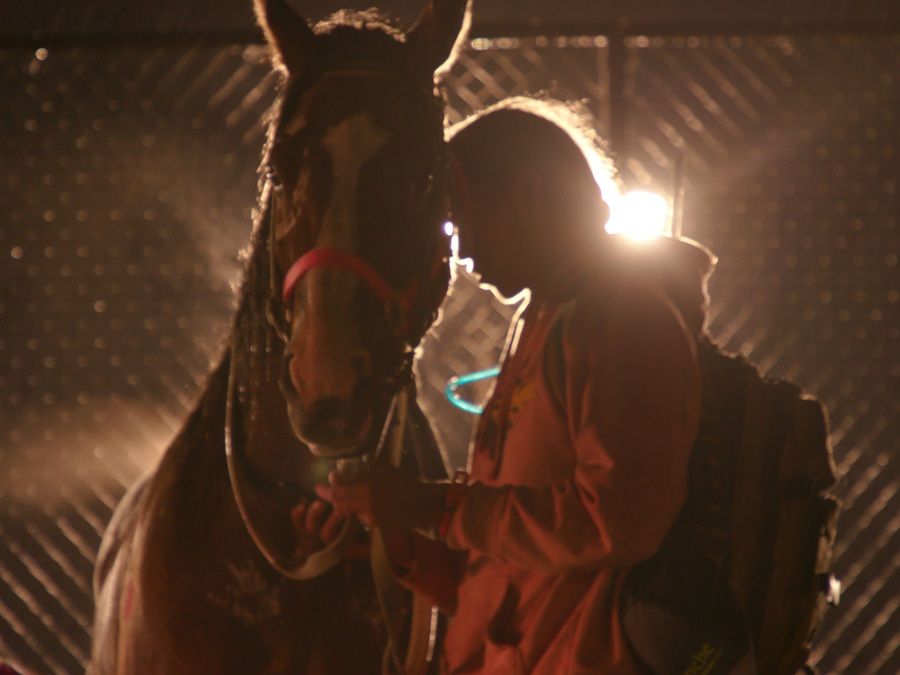 Blackfoot filmmaker redefines masculinity in award-winning documentary ...