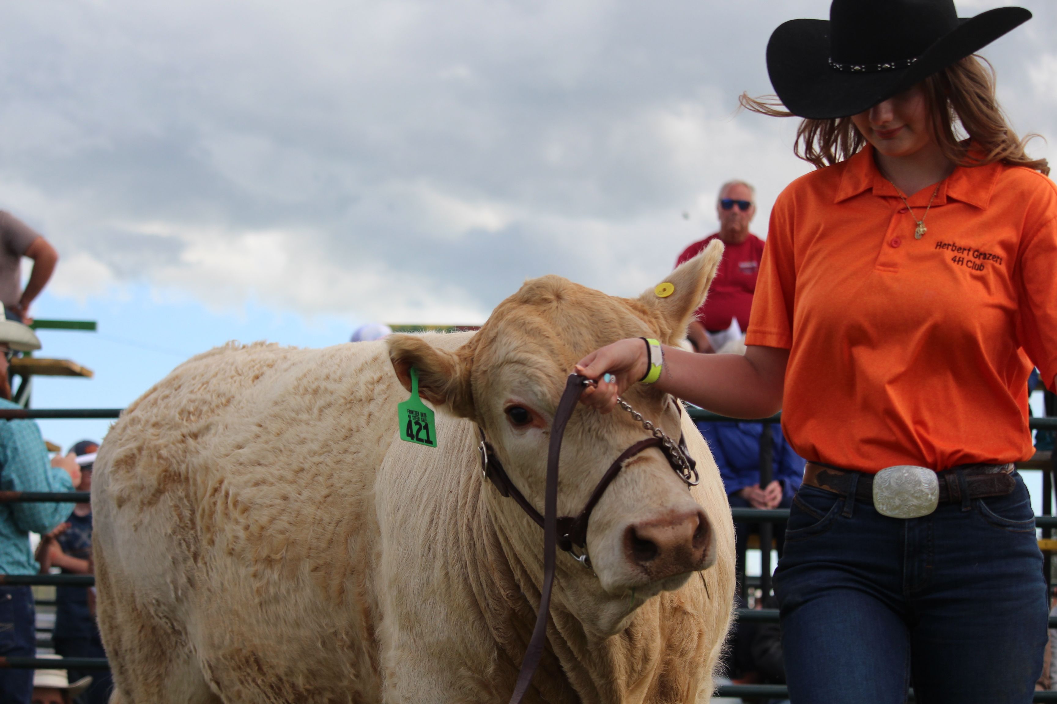 4-H Show & Sale sees $11,000 steer sold locally - SwiftCurrentOnline.com - Local news, Weather ...