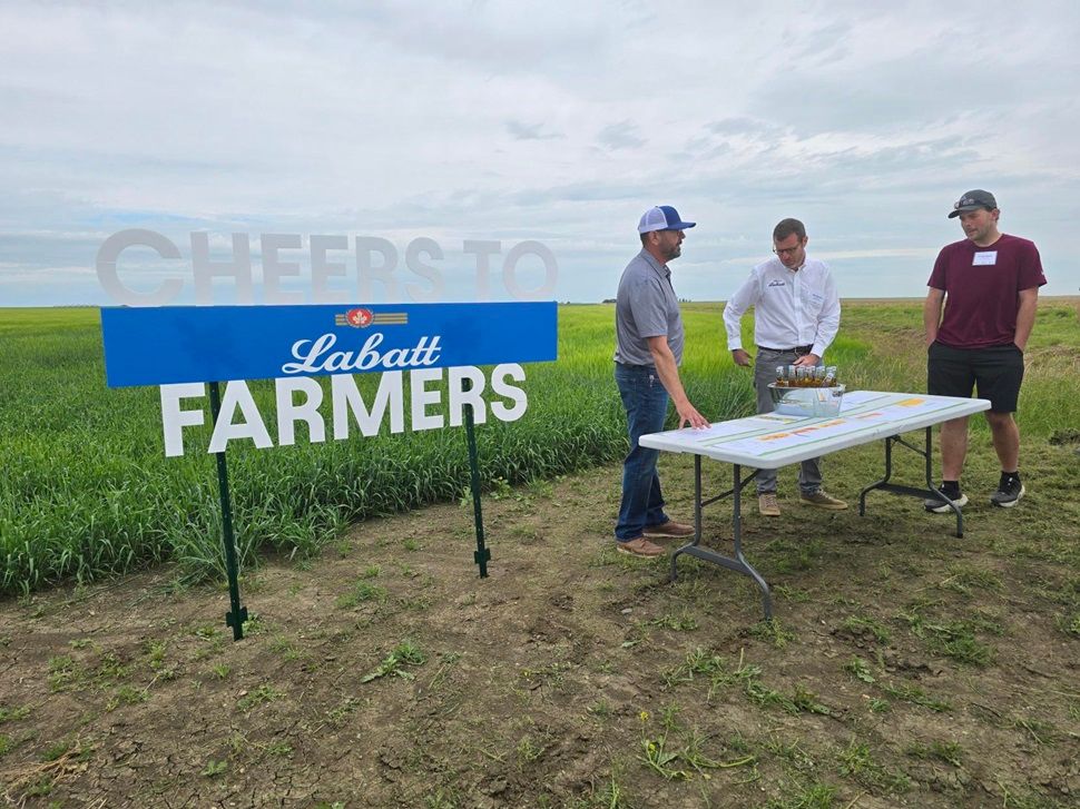Lawrence Farms hosts launch of new Labatt, SaskBarley scholarship ...