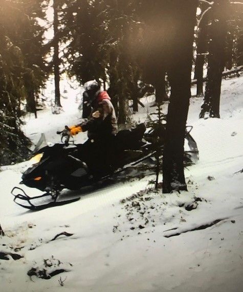 Police seeking suspects following theft of 30 trail cameras ...