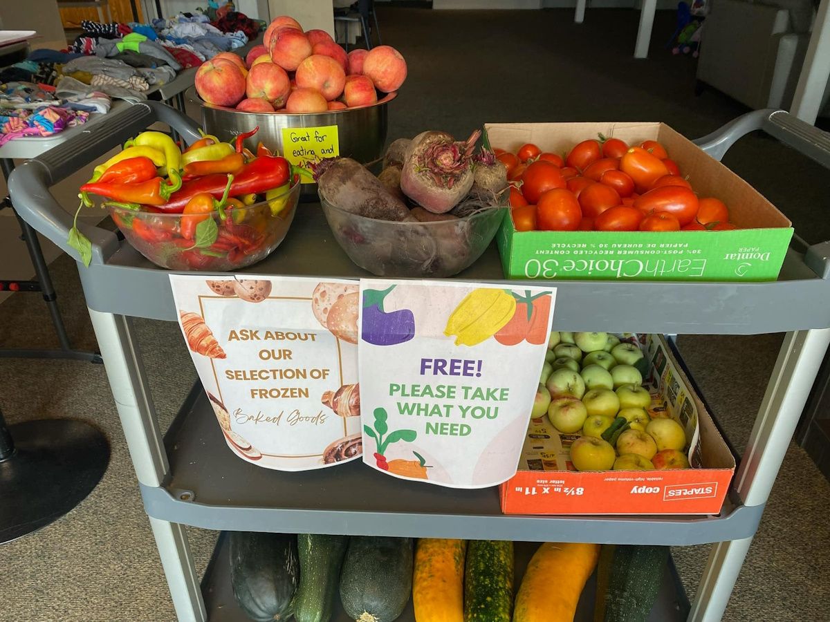 Plant a little extra this spring and help share fresh vegetables with ...