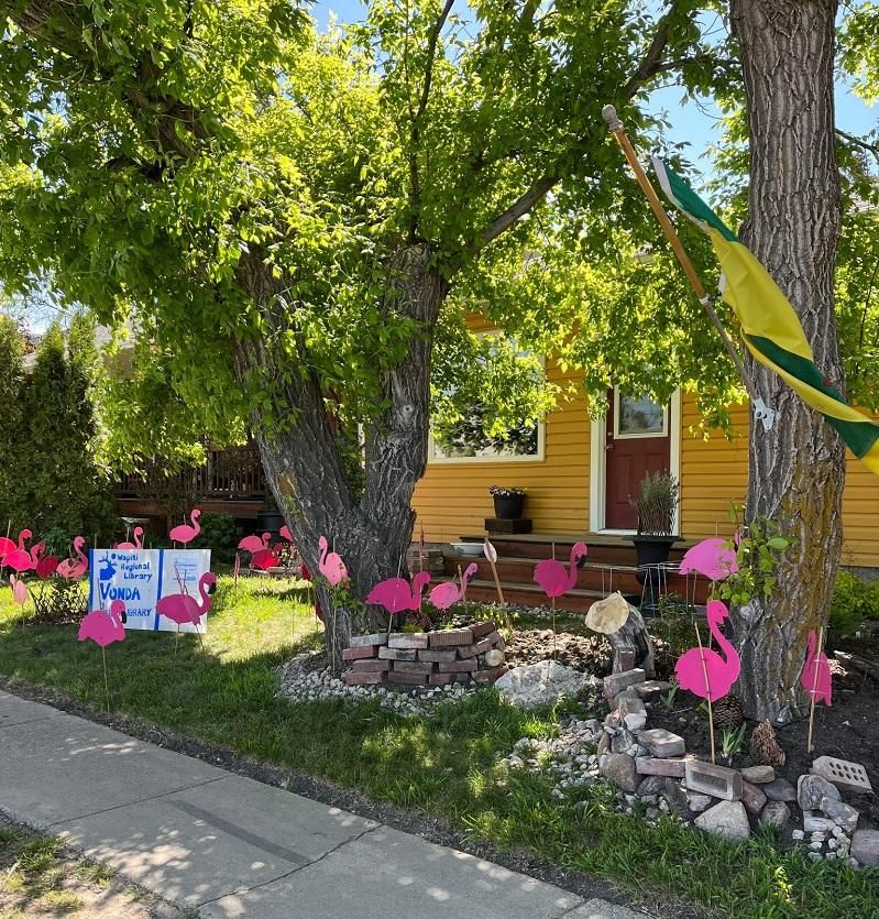 What were you up to July 2022? Top News Stories - DiscoverHumboldt.com ...