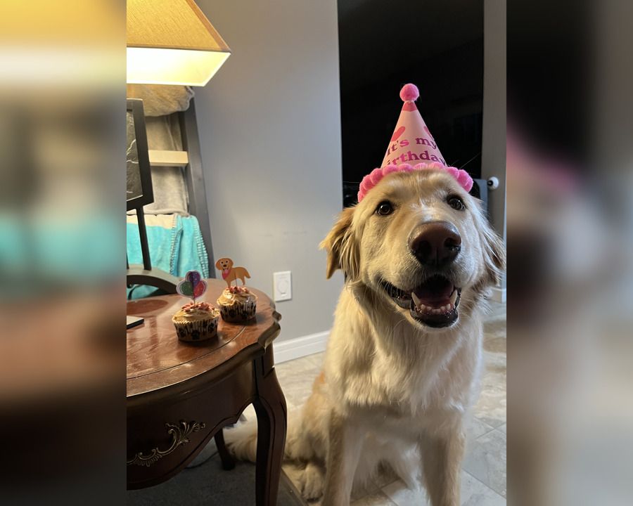 Honouring Val Kilmer: The 10 best soundtracks from his films ...