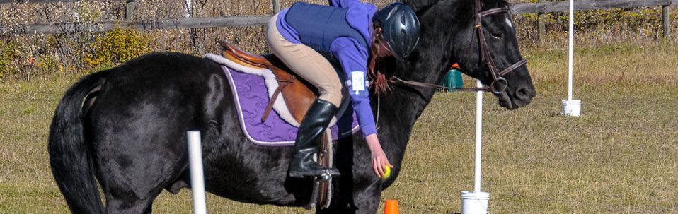 The National Pony Club quiz trots into Cochrane this Thanksgiving ...