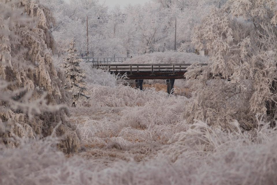 Photographer shares on being chosen for WCU's 2025 Calendar ...