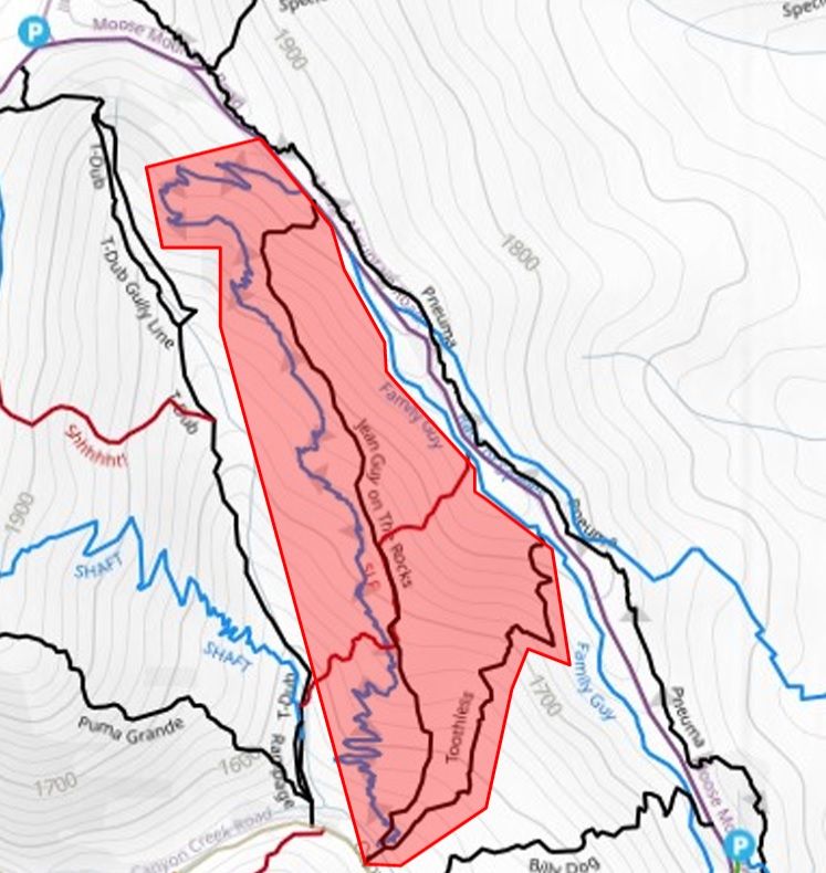 More bear activity shuts down several mountain bike trails ...