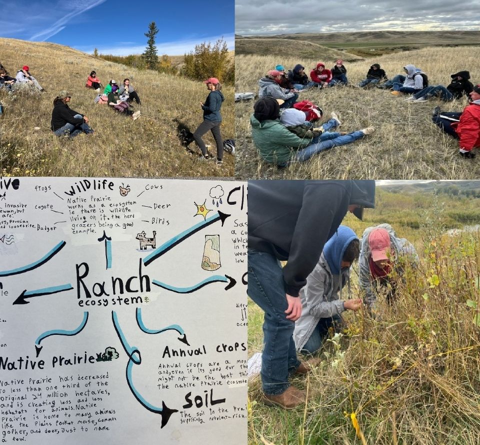 Field Trip!: Adopt a Rancher program helps teach Grade 10 students ...