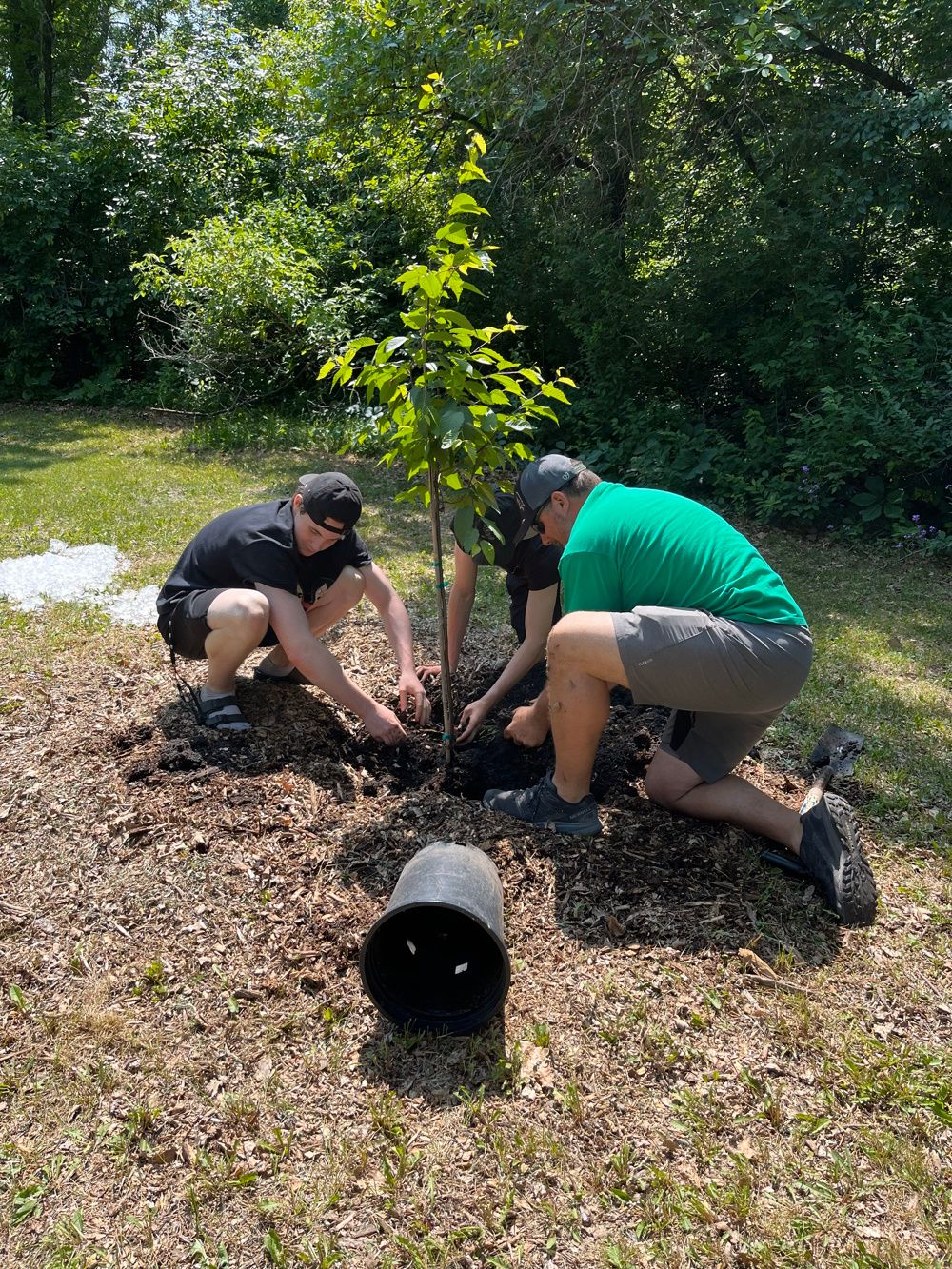 "It doesn't get better than a free tree and a free hot dog”, Arbor Day ...