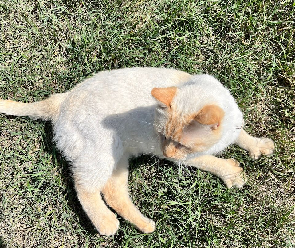 Beauties, beasts: Photos of the week - DiscoverWeyburn.com - Local news ...