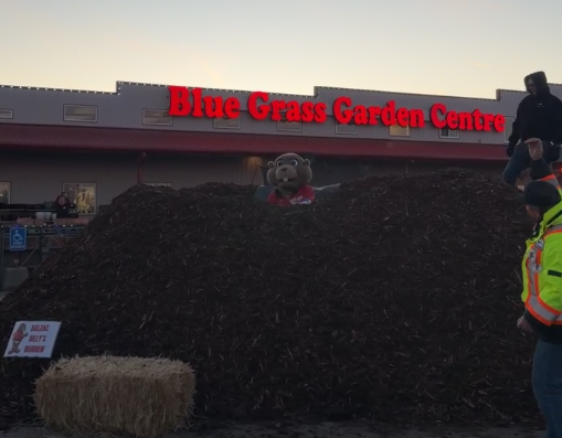 Balzac Billy delivers his Groundhog Day verdict - OkotoksOnline.com ...